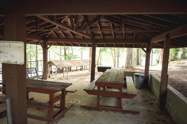 Welcome to Cushing Park – Allatoona's Best Kept Secret