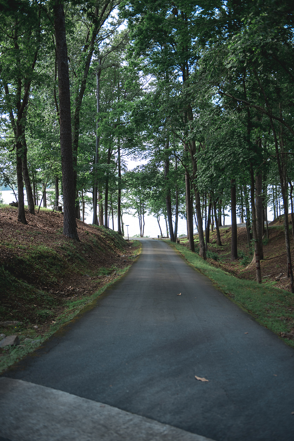 Park Amenities – Welcome to Cushing Park